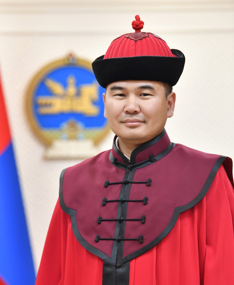 MUNKHSAIKHAN Odonkhuu - THE CONSTITUTIONAL COURT OF MONGOLIA